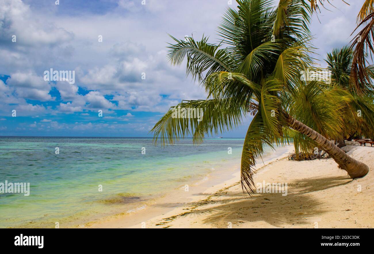 Located in Bodufinolhu, Fun Island Resort & Spa is on the beach. Local ...