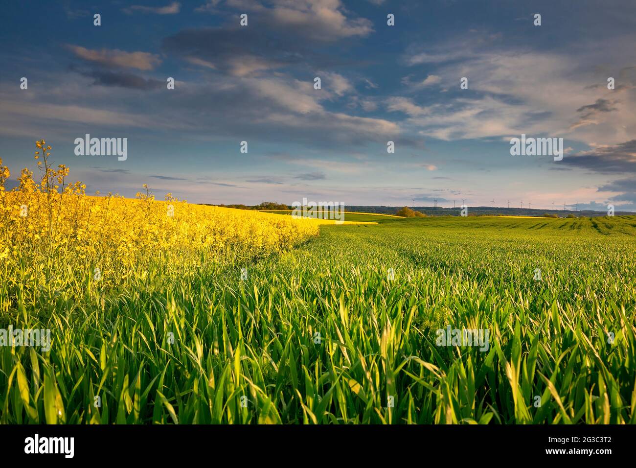 German Farmland High Resolution Stock Photography and Images - Alamy