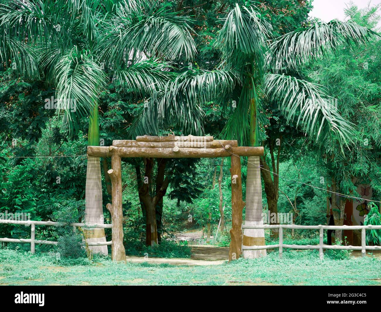 Wooden structure created on park entry with coconut tree around at ...