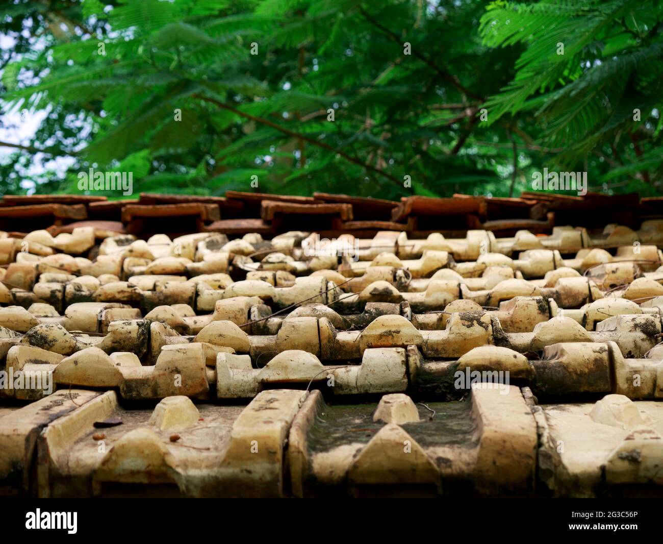 Old roof tile picture with green tree on back frame natural view Stock ...