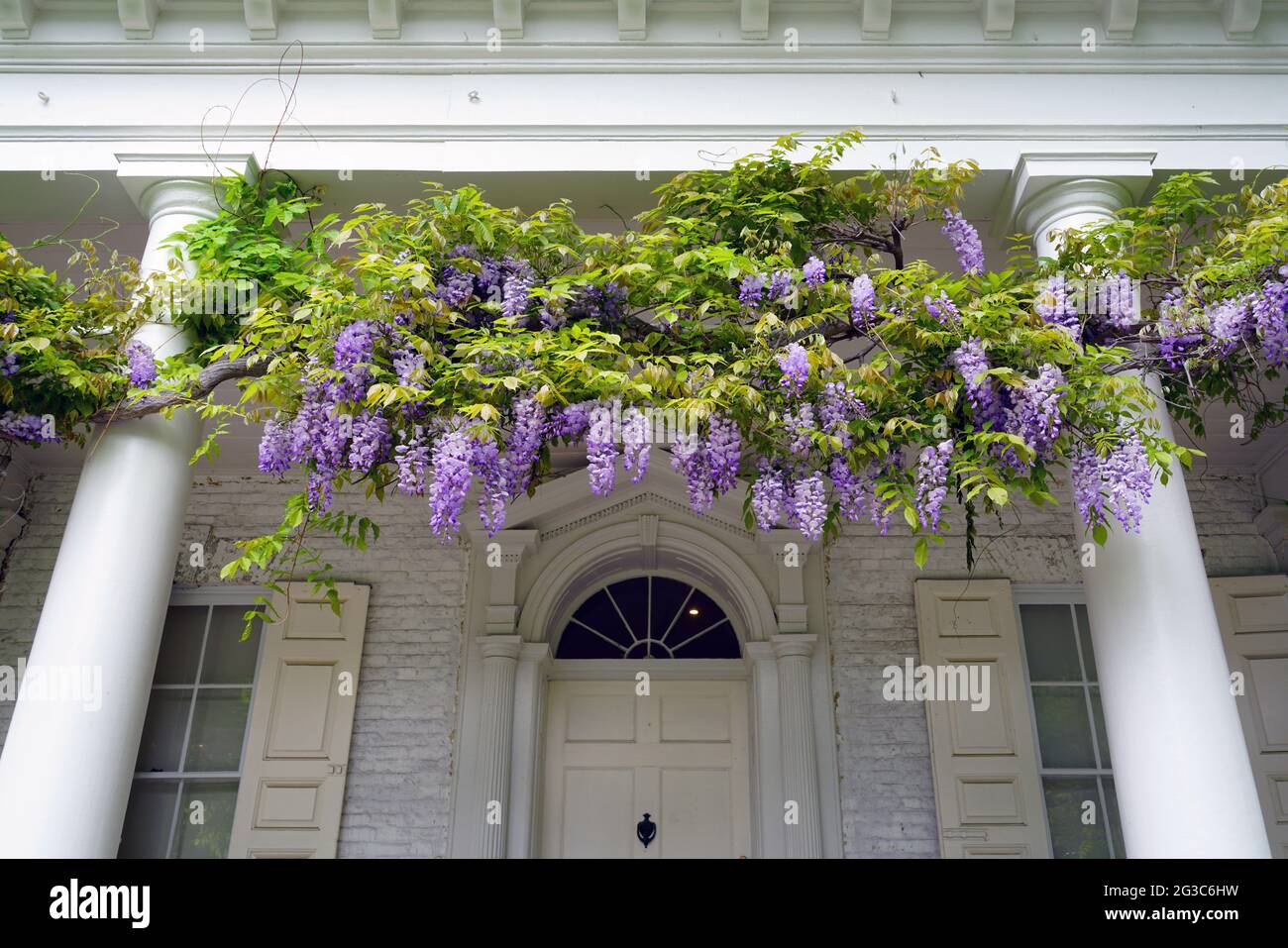 PRINCETON, NJ –2 MAY 2021- View of the Morven Museum and Garden, the ...