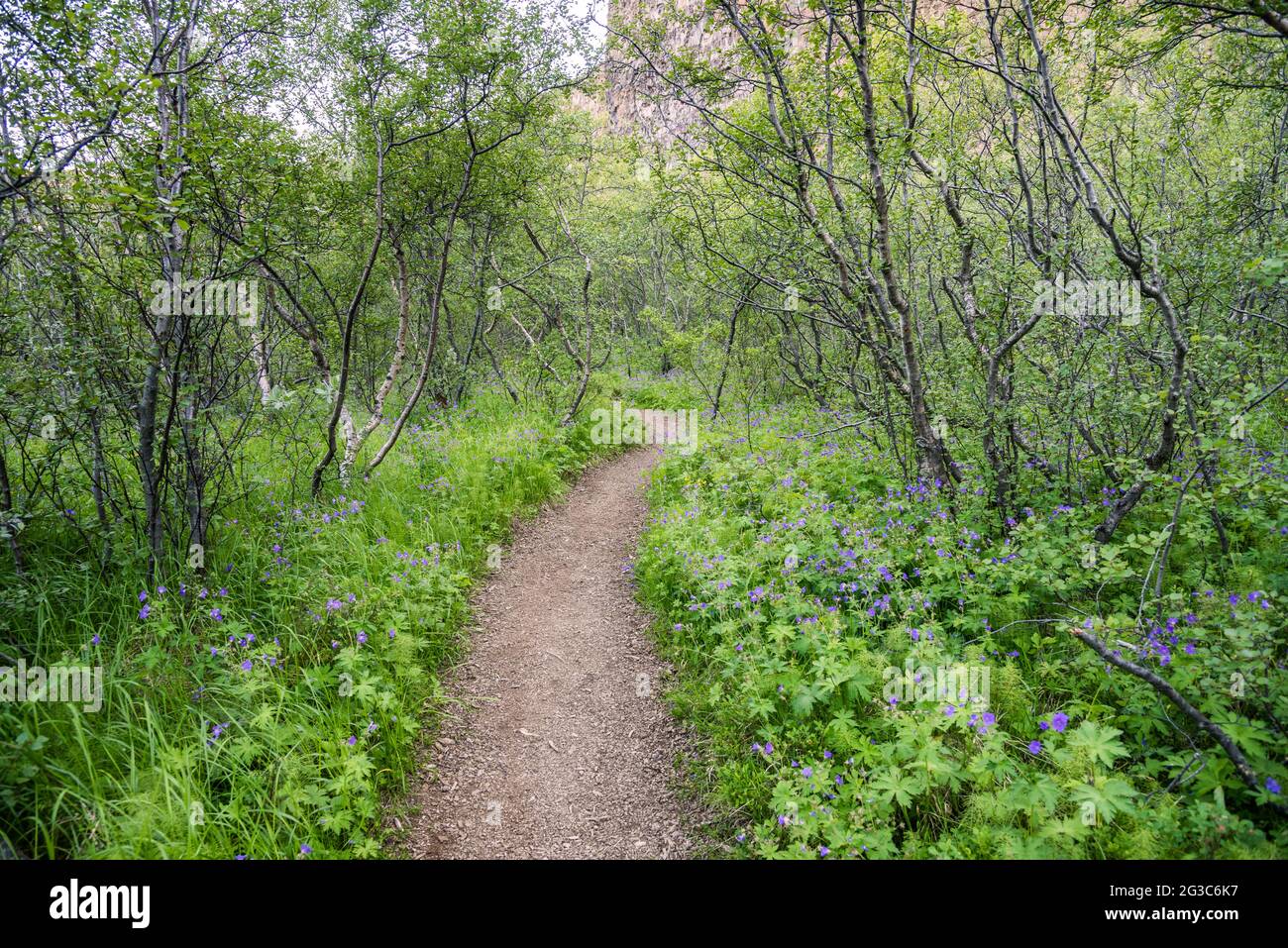 Narrow winding pathway hi-res stock photography and images - Alamy