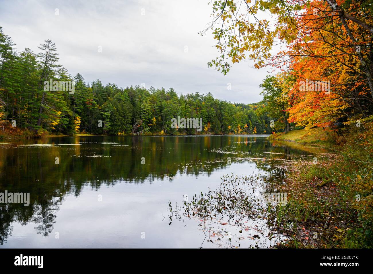 Colourful natural scene hi-res stock photography and images - Alamy