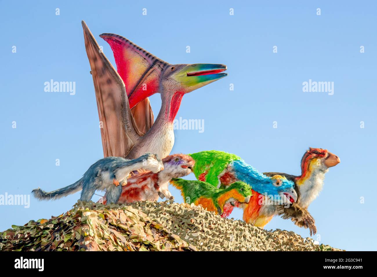 Nyctosaurus Gracilis