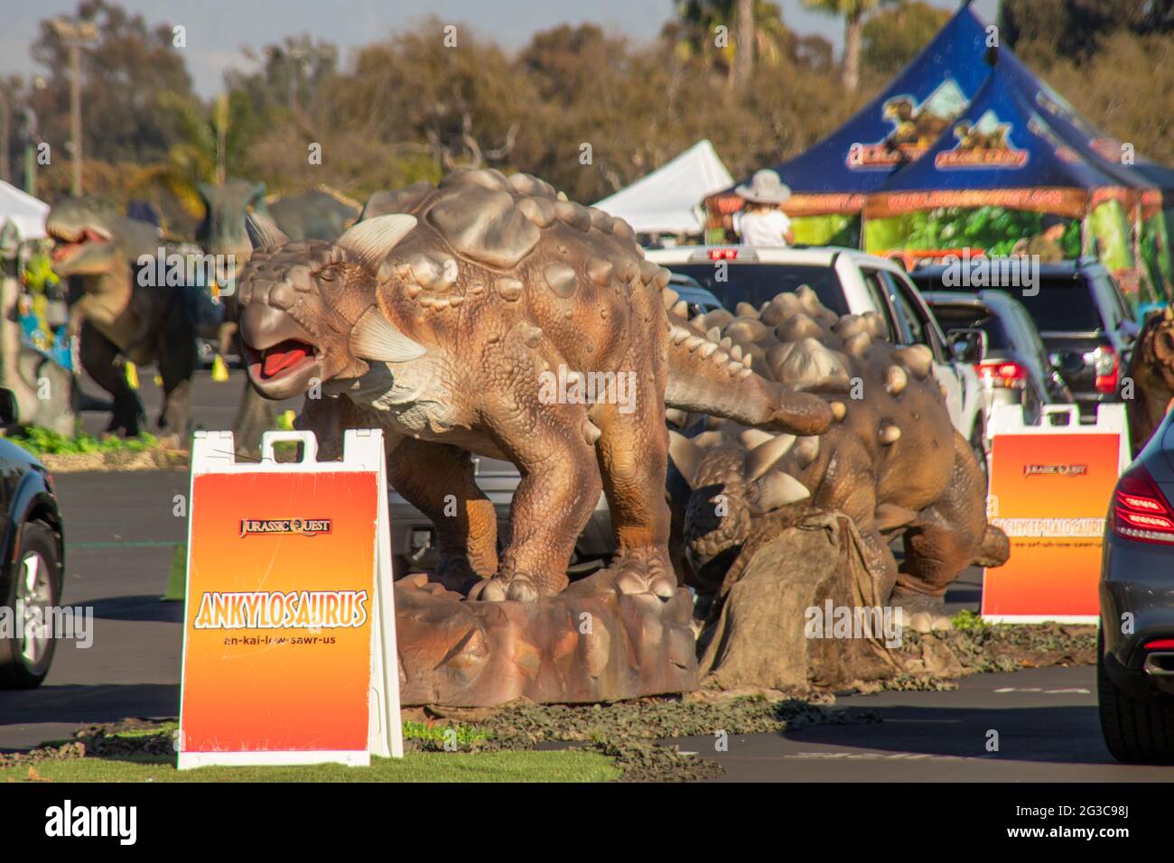 Ankylosaurus hi-res stock photography and images - Alamy