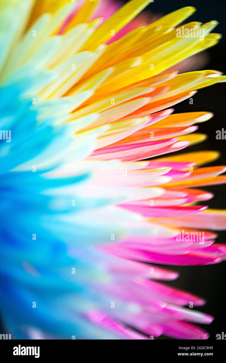 Little color hi-res stock photography and images - Alamy