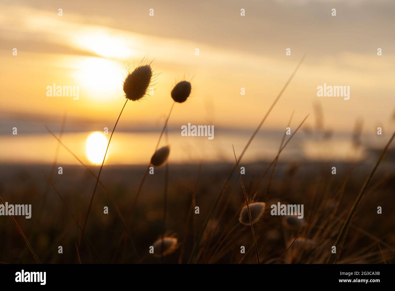 Waihi beach hi-res stock photography and images - Alamy