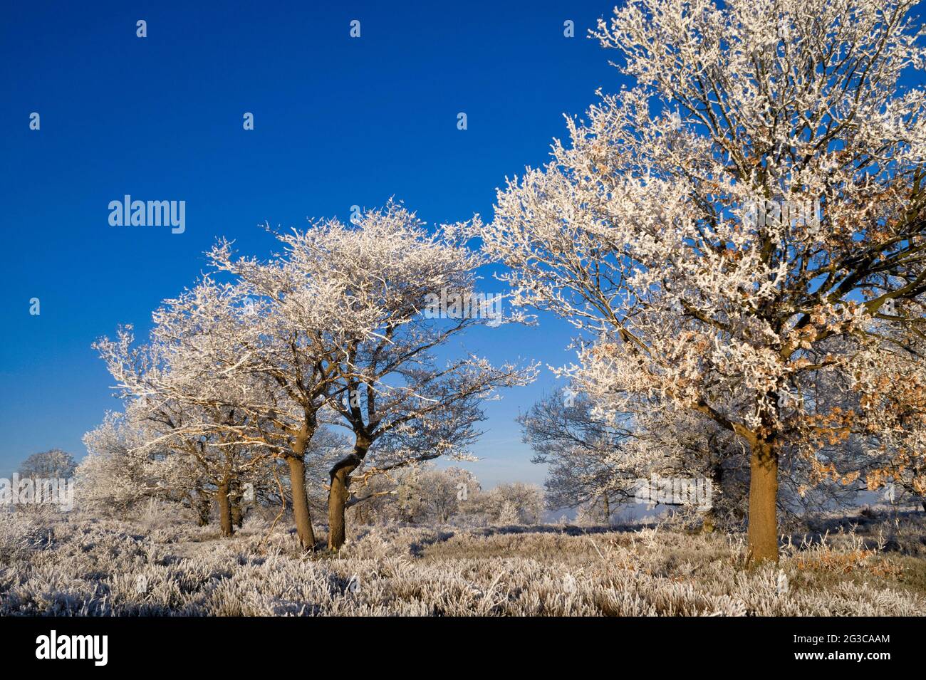 National park holten hi-res stock photography and images - Alamy