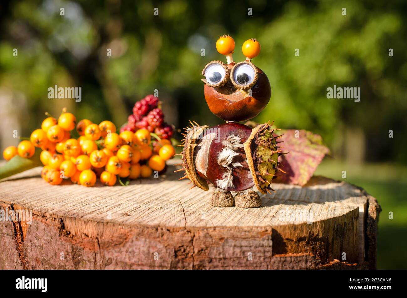 autumn creative figures from colorful fruits and berries Stock Photo ...
