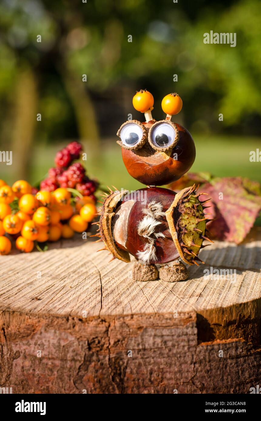 autumn creative figures from colorful fruits and berries Stock Photo ...