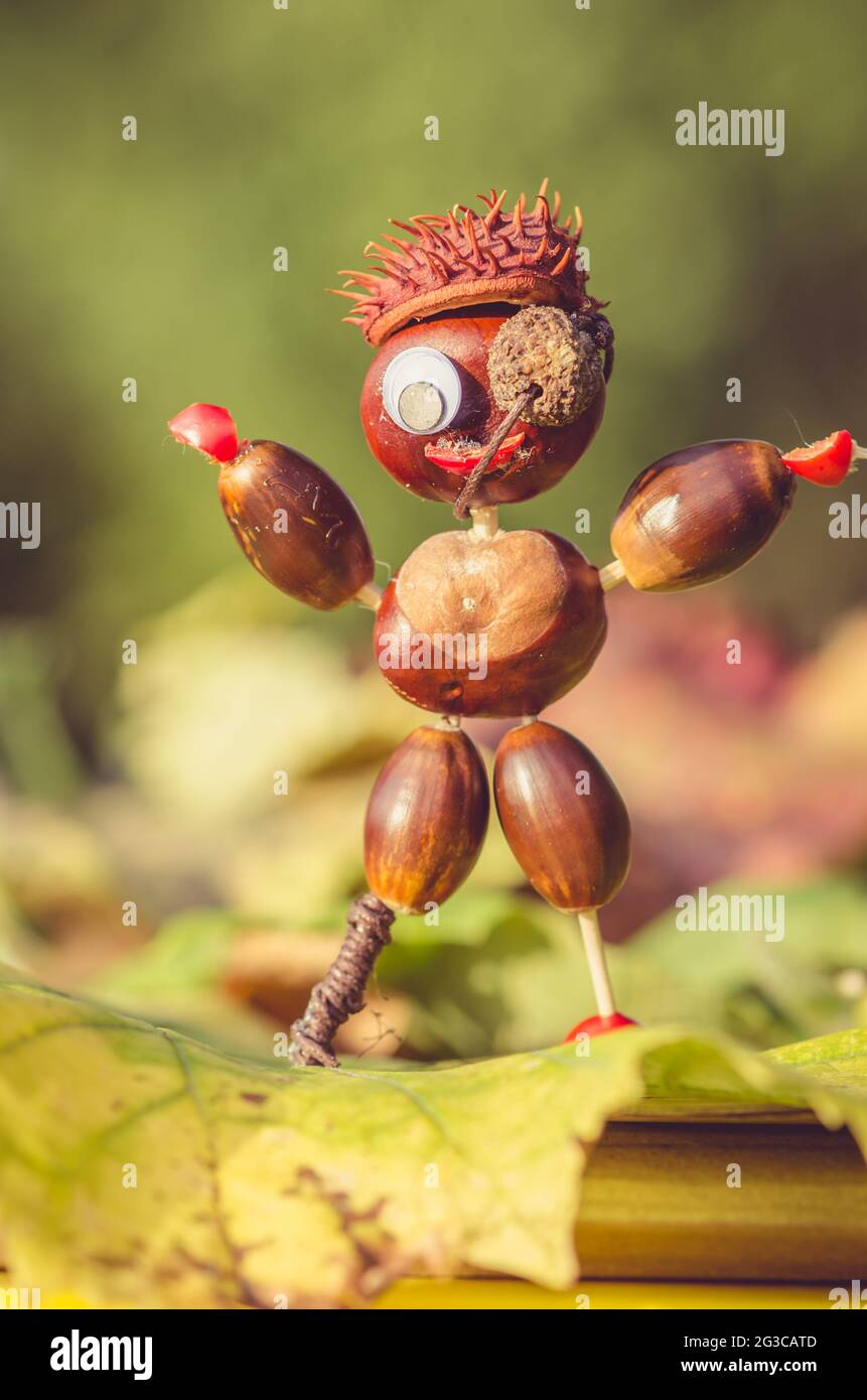 autumn creative figure from chestnut and acorn and briar fruits Stock ...