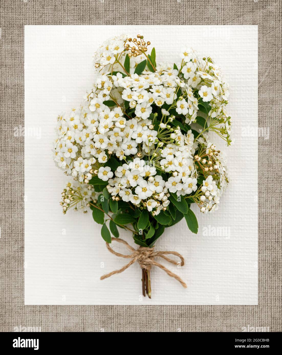 Bouquet, flower arrangement of white small flowers on a white ...