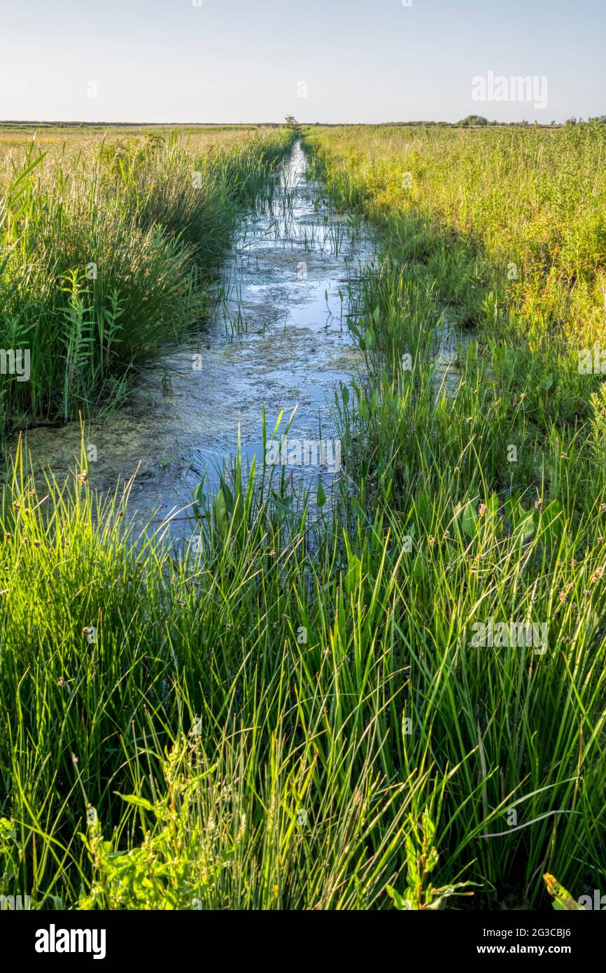 Dyke marsh hi-res stock photography and images - Alamy