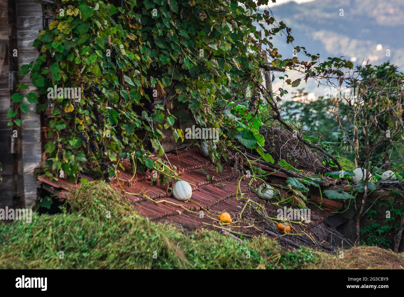 Haremtepe hi-res stock photography and images - Alamy