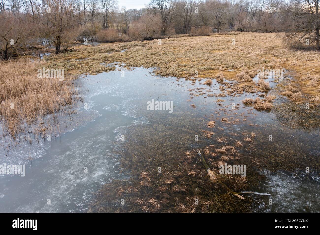 Frozen floodplain from drone perspective in winter Stock Photo - Alamy