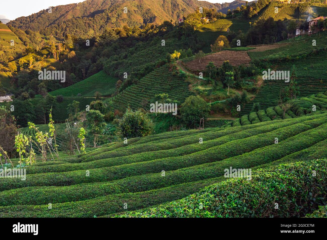 Haremtepe hi-res stock photography and images - Alamy