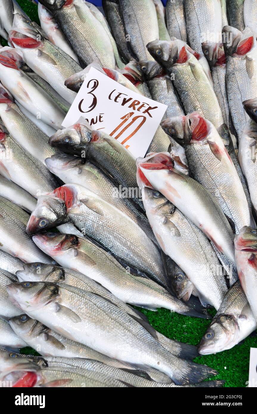 Clean fish are sold fresh at the fish market, fresh perch fish, levrek ...