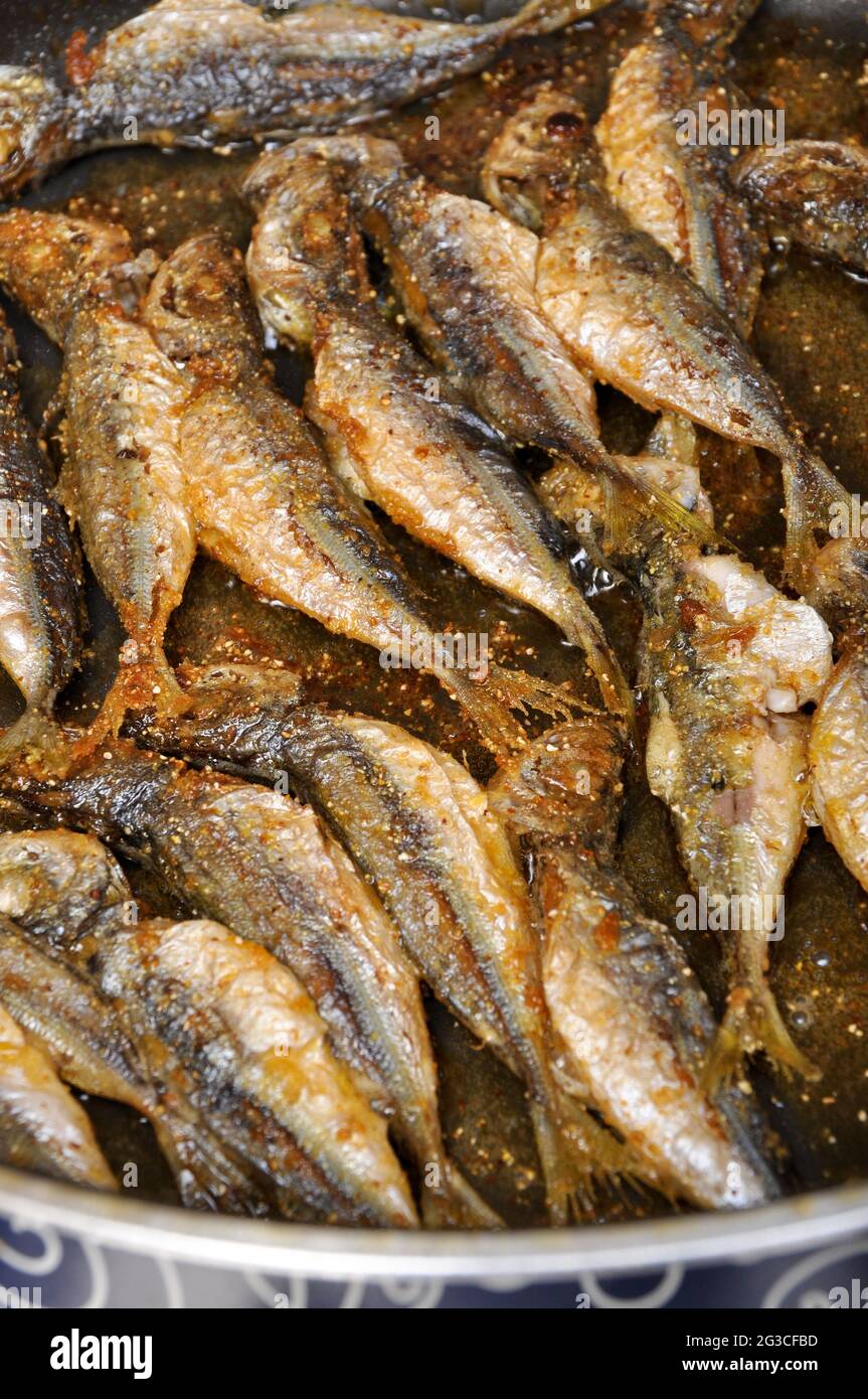 Delicious and beautiful fresh horse mackerel istavrit fish frying in a ...