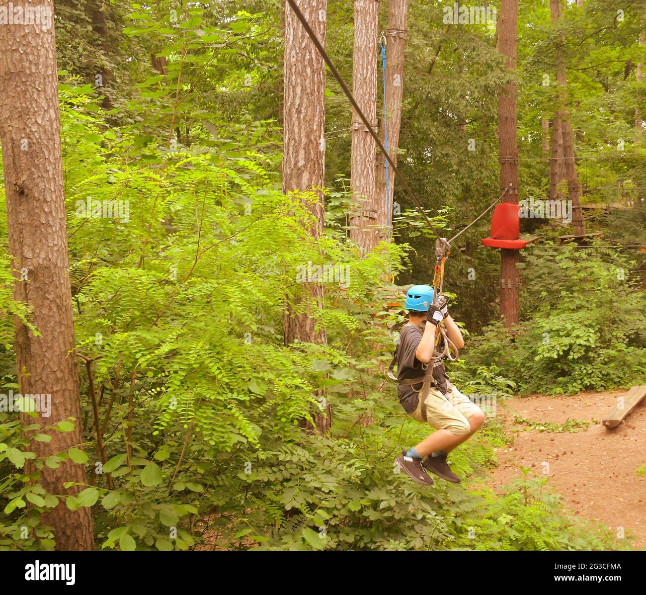 Boy on a sliding swing. Child in forest adventure park. Kids climb on ...