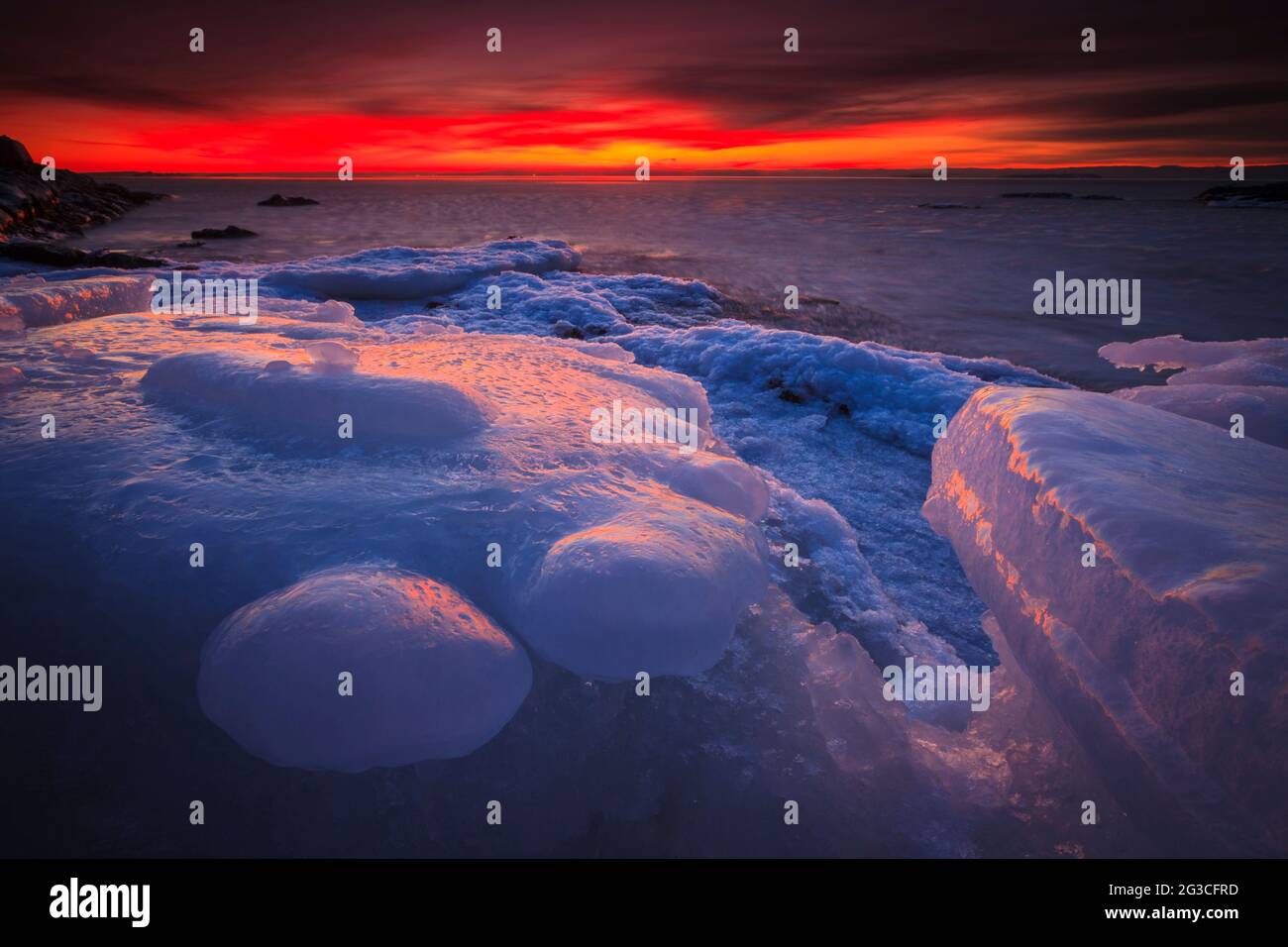 Jeloya at moss hi-res stock photography and images - Alamy