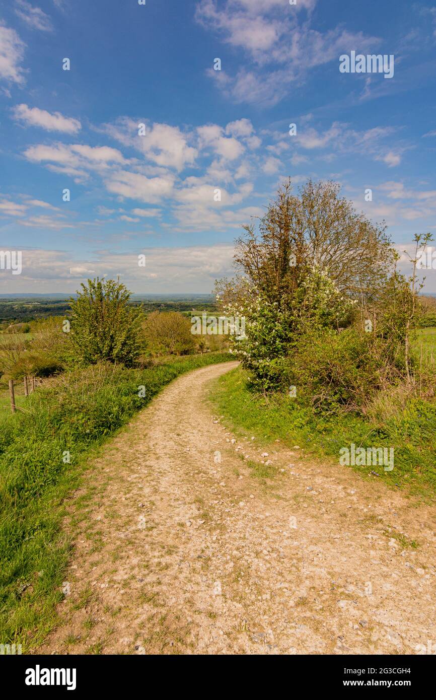 The South Downs Way long distance path as it heads north then east via ...