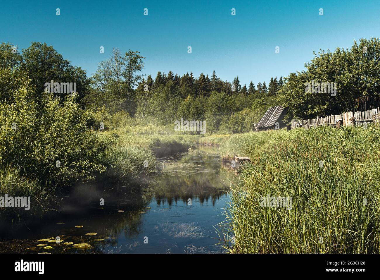 Nature, river and forest - rustic landscape. High quality photo Stock ...