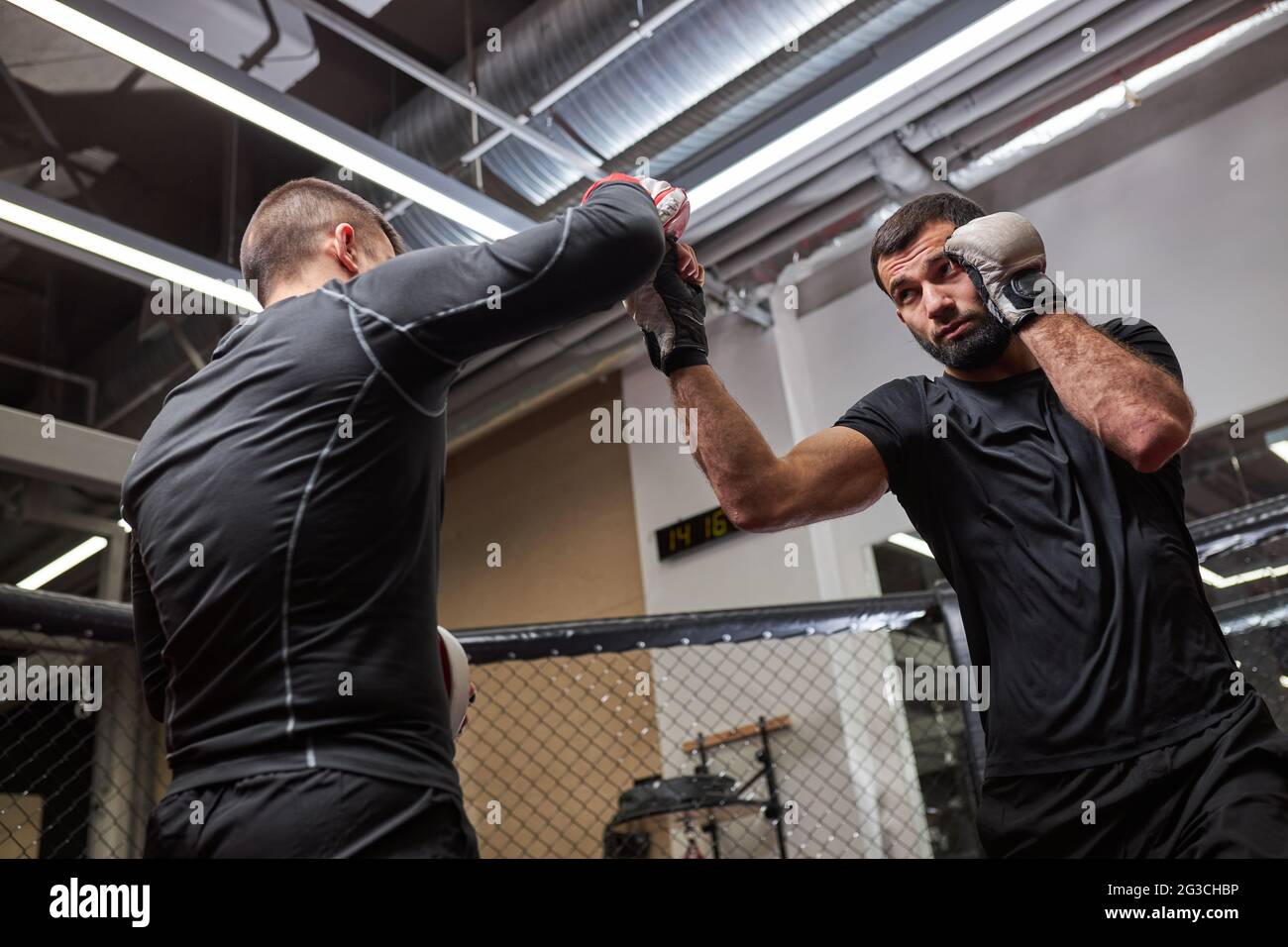 Professional MMA Fighter Showing Best Tricks To New Fighter, Teaching ...