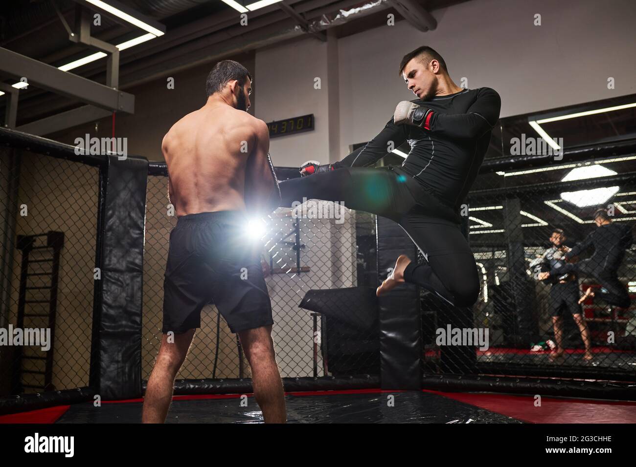 MMA. Two professional boxers boxing, fit muscular caucasian athletes ...