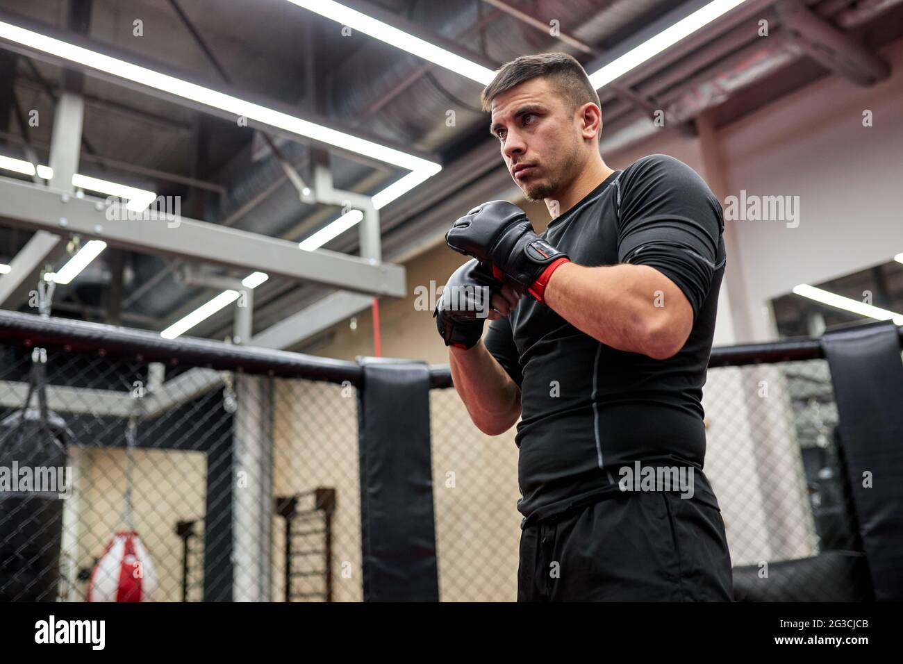 Confident adult male boxer stand in pose, performs exercises in ring in ...