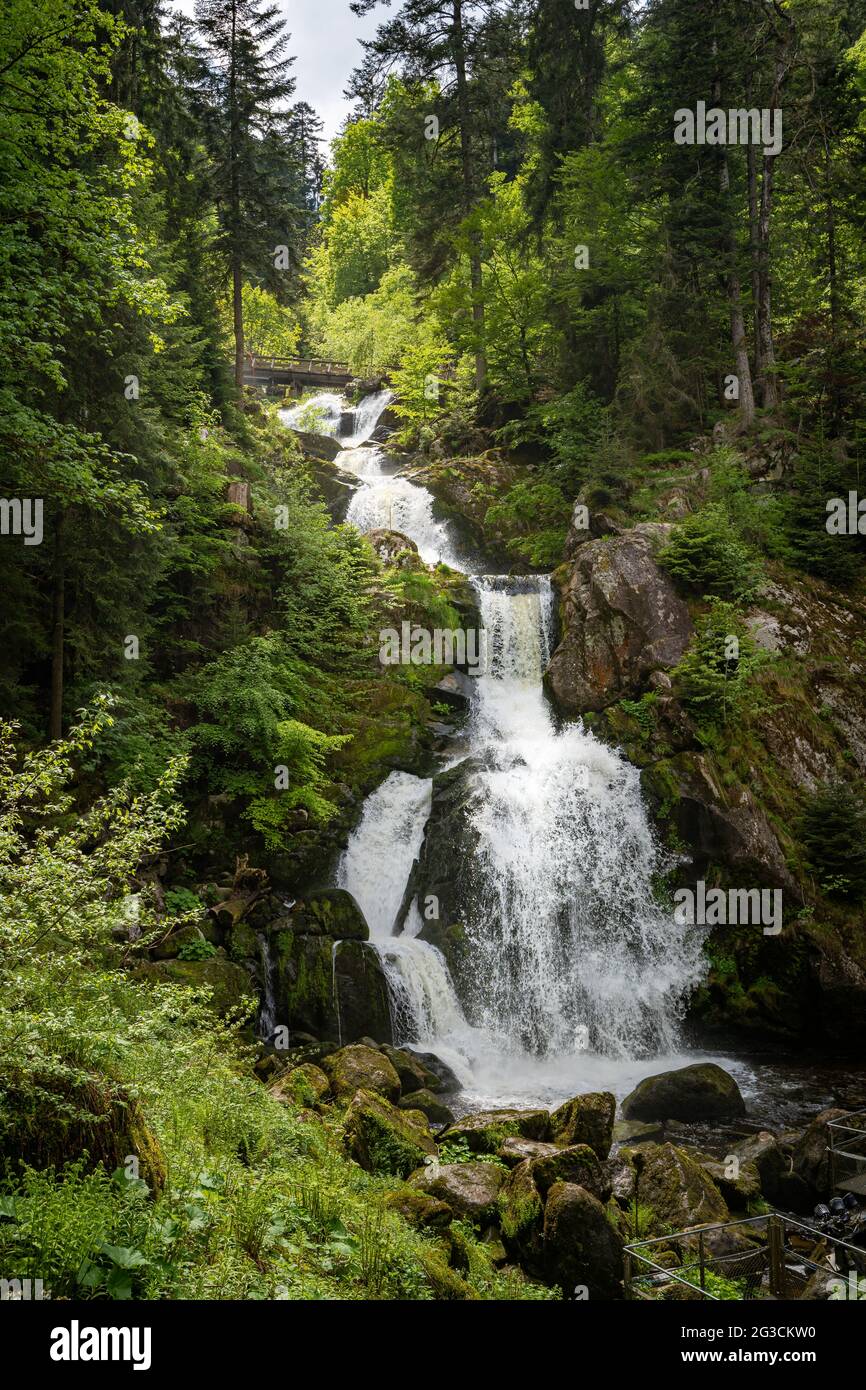 Vertical shot of the magnificent Triberg waterfall in the Black Forest ...