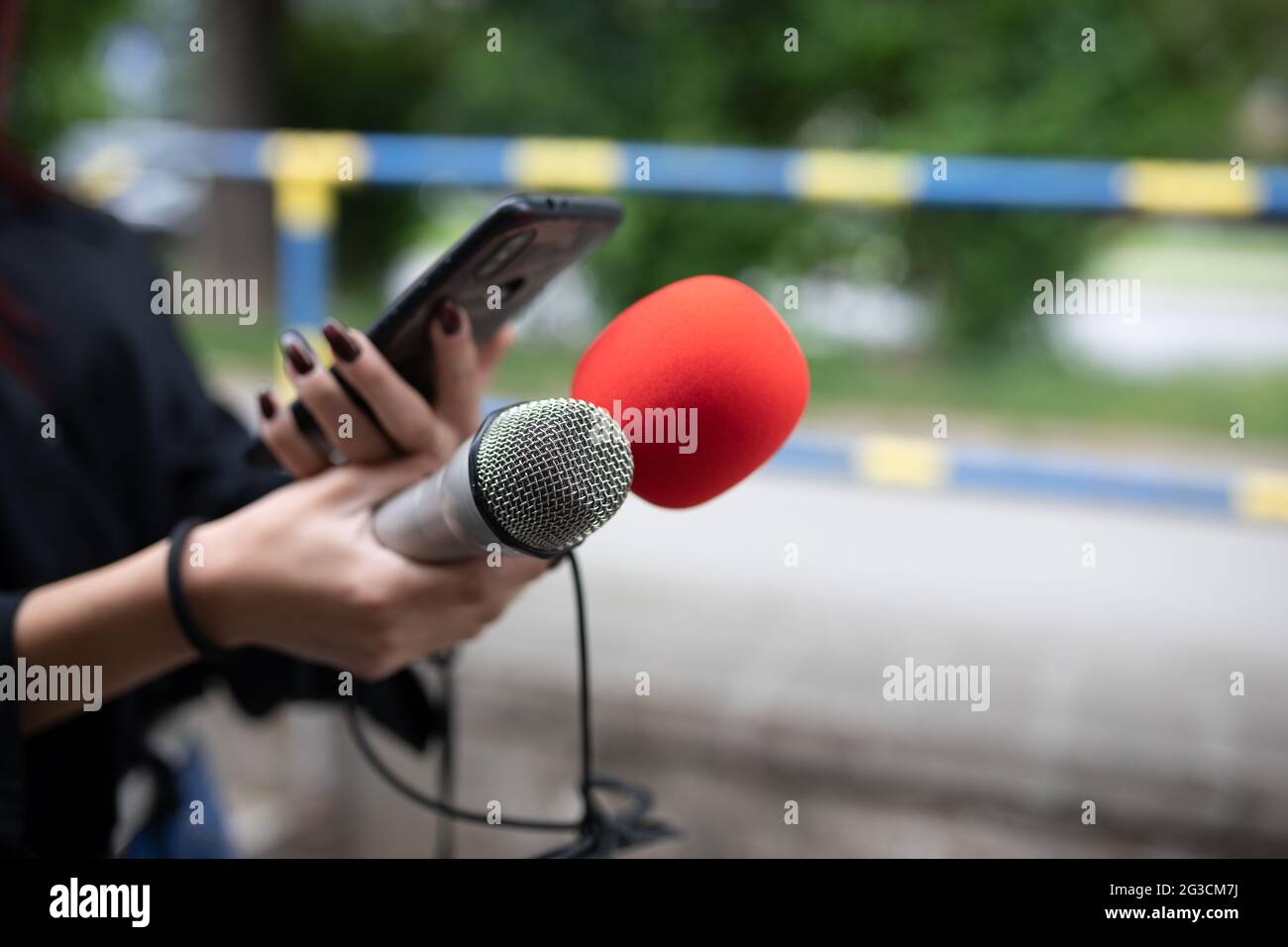 Female journalist at news conference, recording notes, holding ...