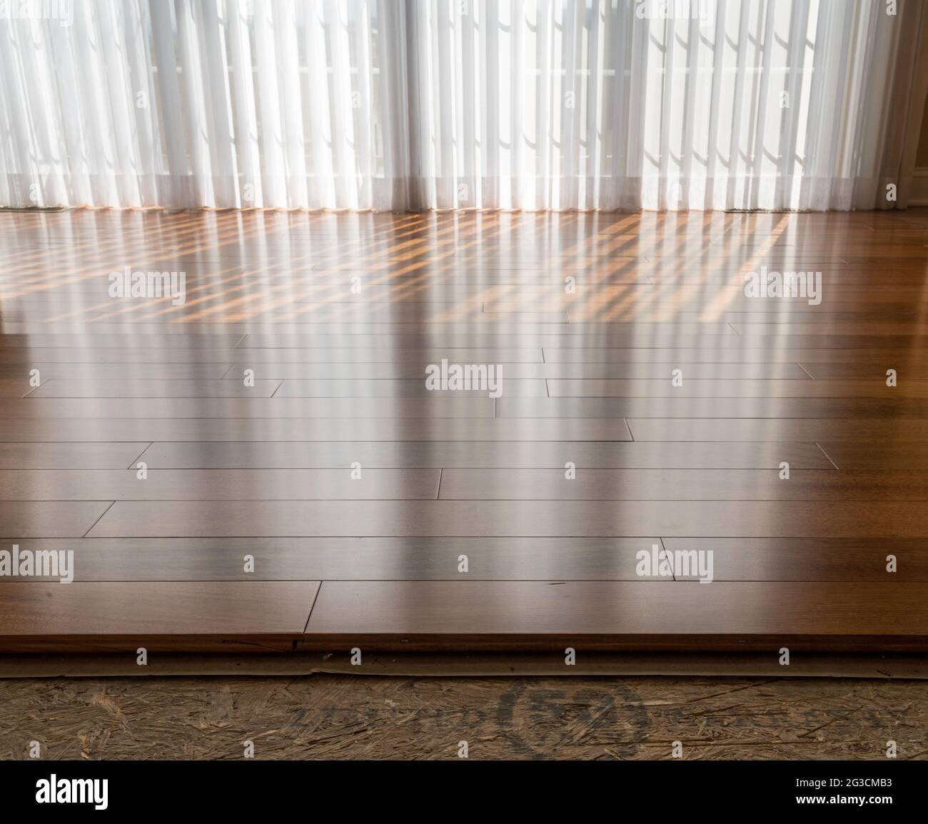 Vertical blinds cast shadows on a newly installed Brazilian Cherry ...