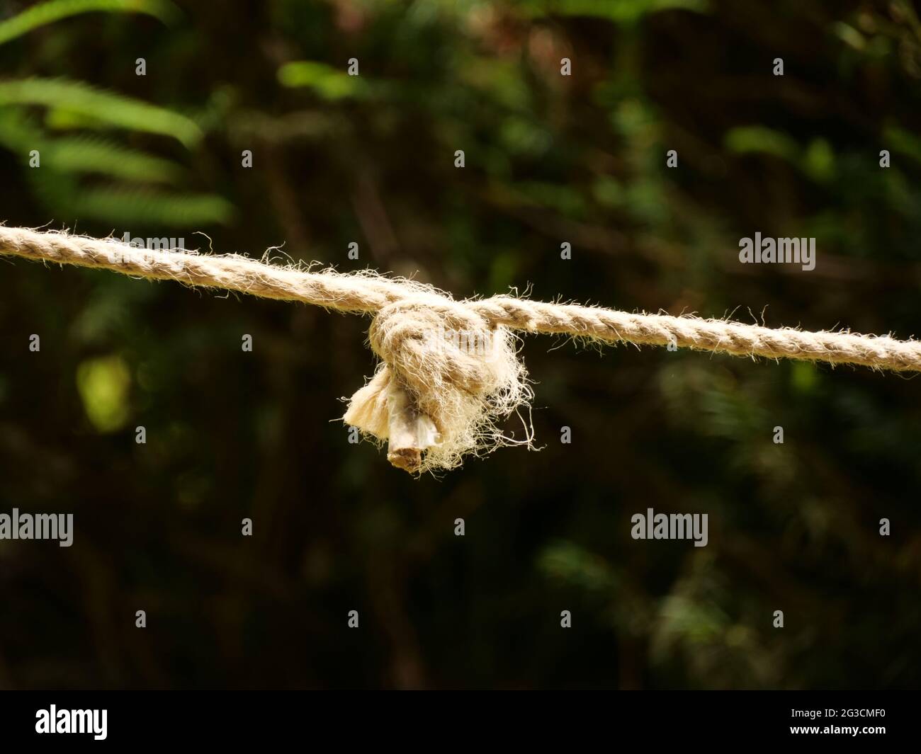 Two ropes tied hi-res stock photography and images - Alamy