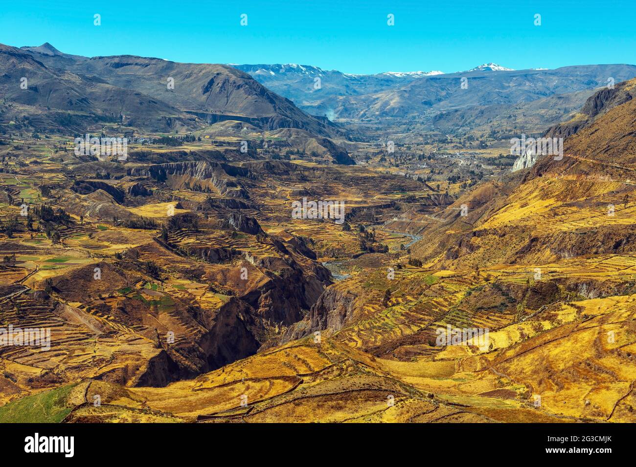 Colca Canyon landscape in summer with agriculture terraces and Colca ...