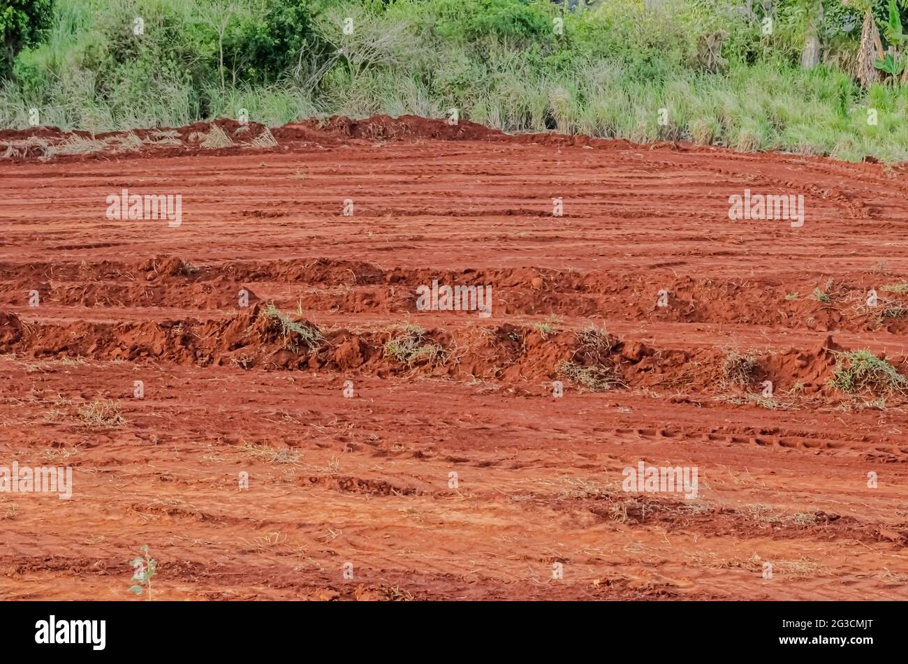 Freshly Disturbed Soil Stock Photo - Alamy