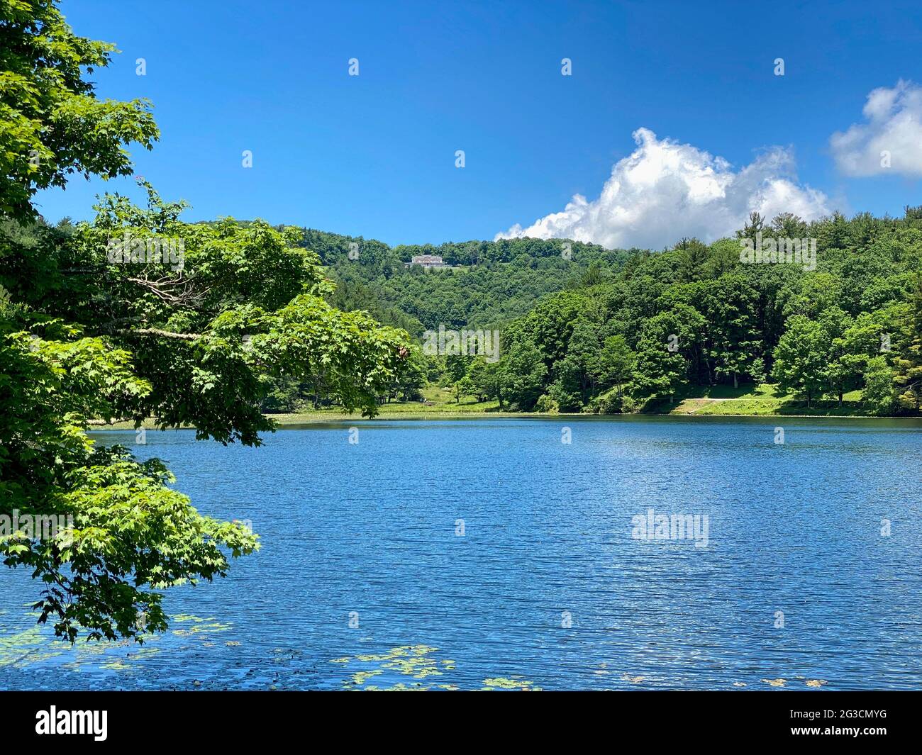 Moses cone hi-res stock photography and images - Alamy