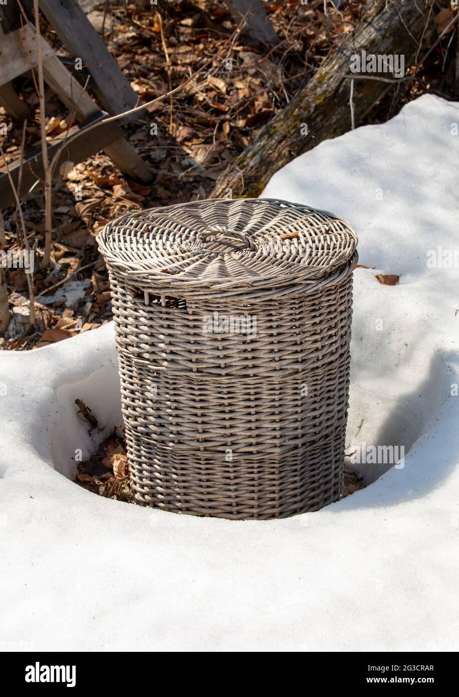 tall basket left outdoor in the winter with snow melting around in ...