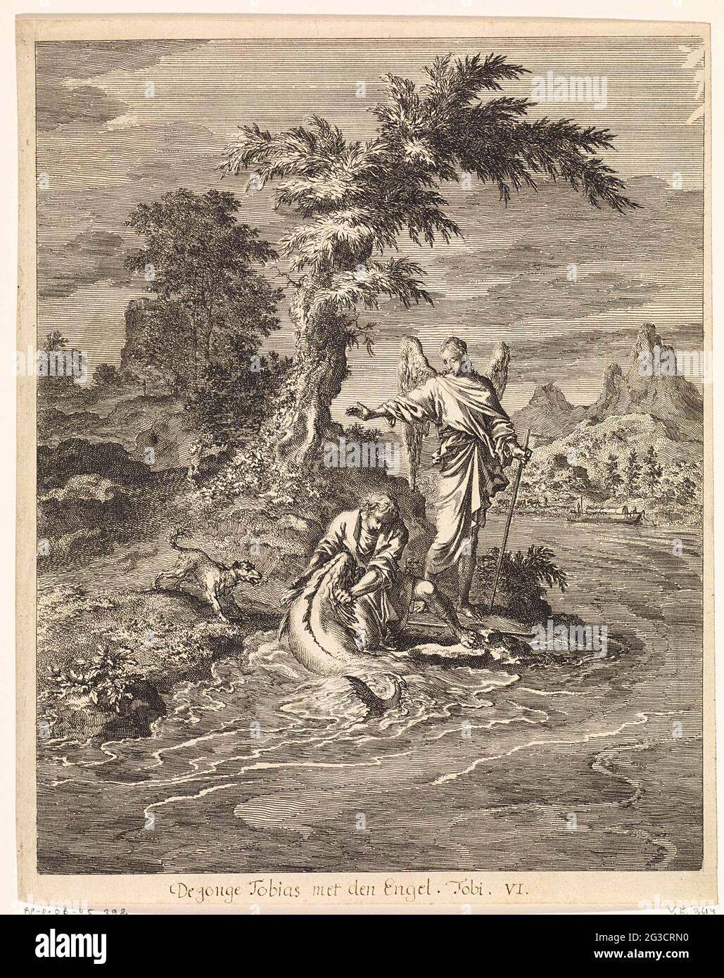 Tobias catches hi-res stock photography and images - Alamy