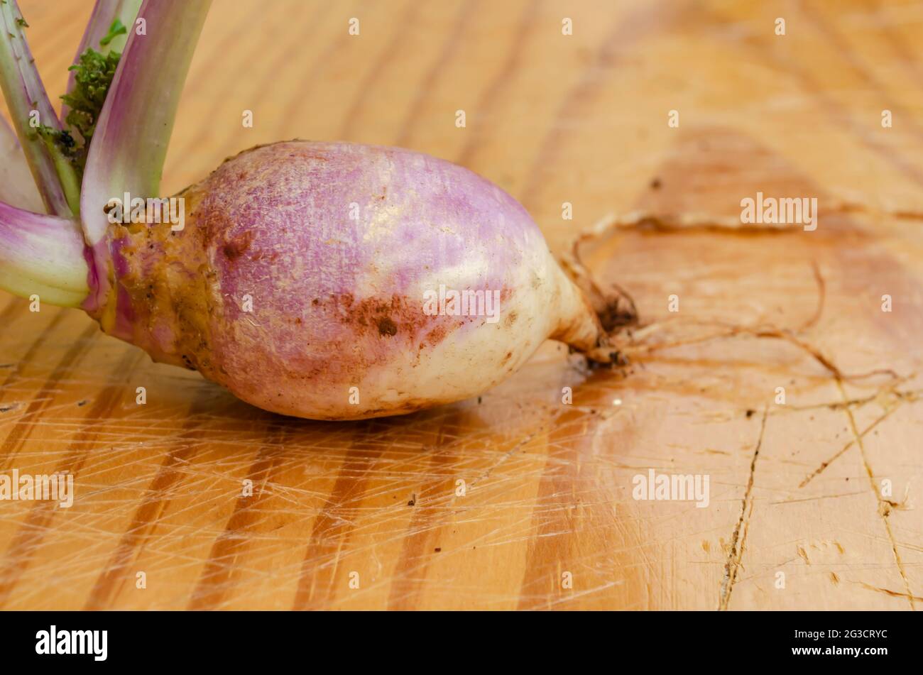 side Of Turnip Stock Photo - Alamy