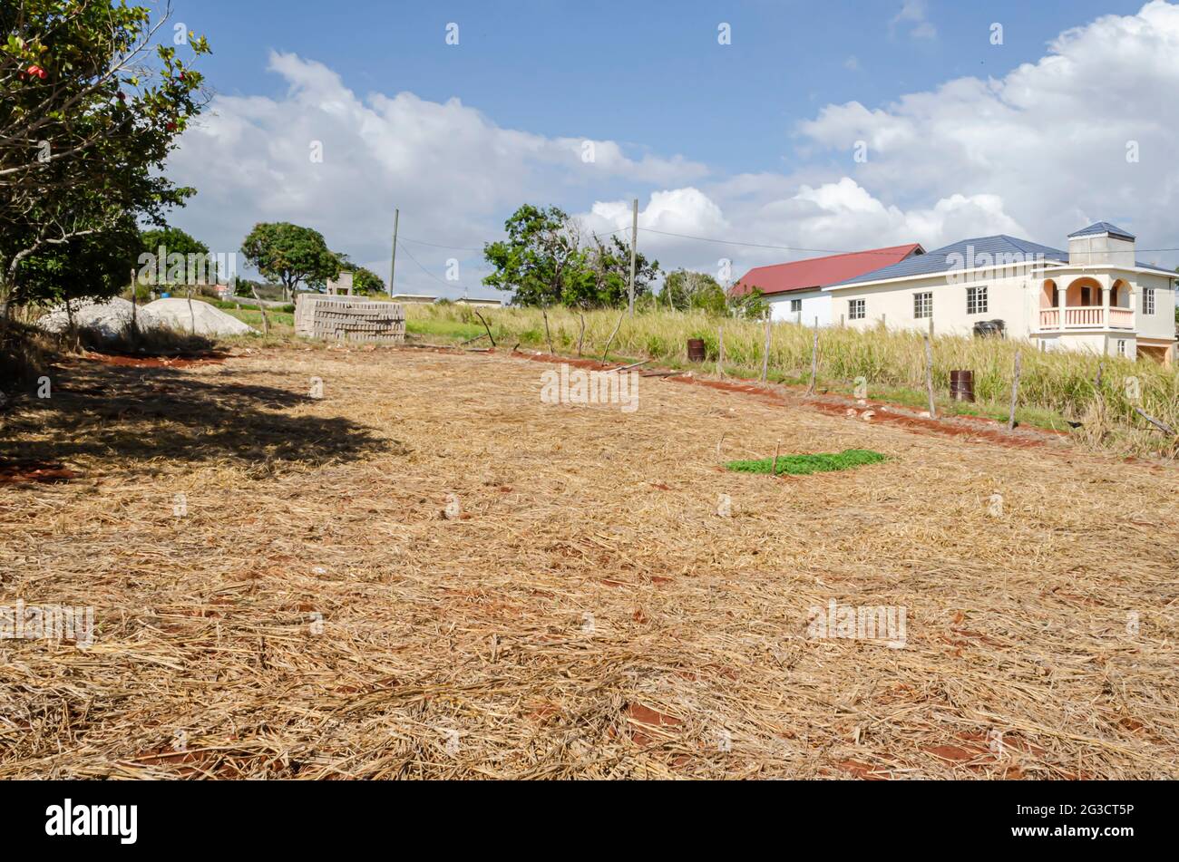 Grass Covering Farm Land Stock Photo - Alamy