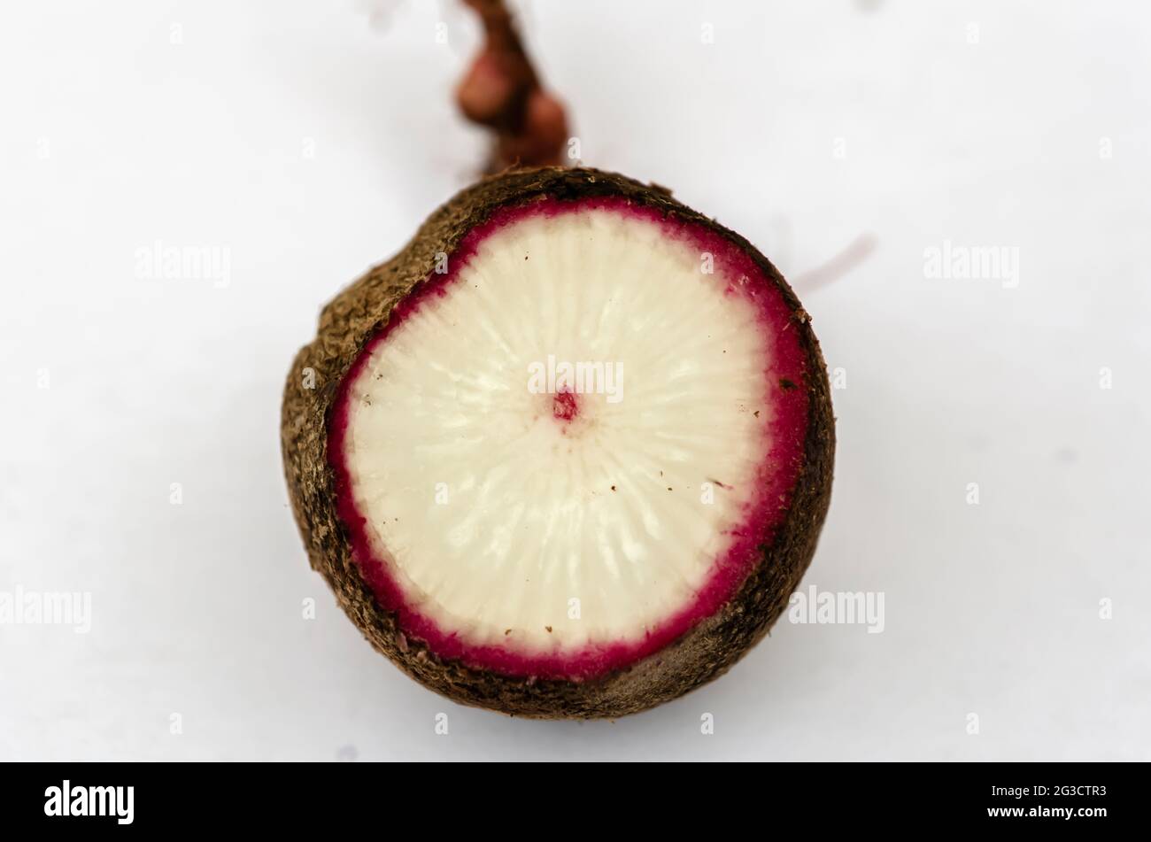 Radish Cross Section Stock Photo - Alamy