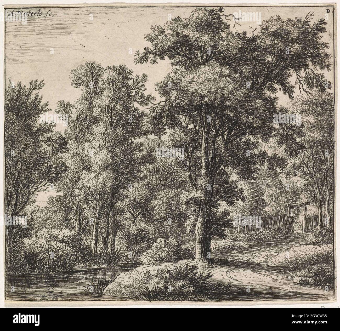 Entrance to the forest; Forest views, Series A. Links flows through a ...