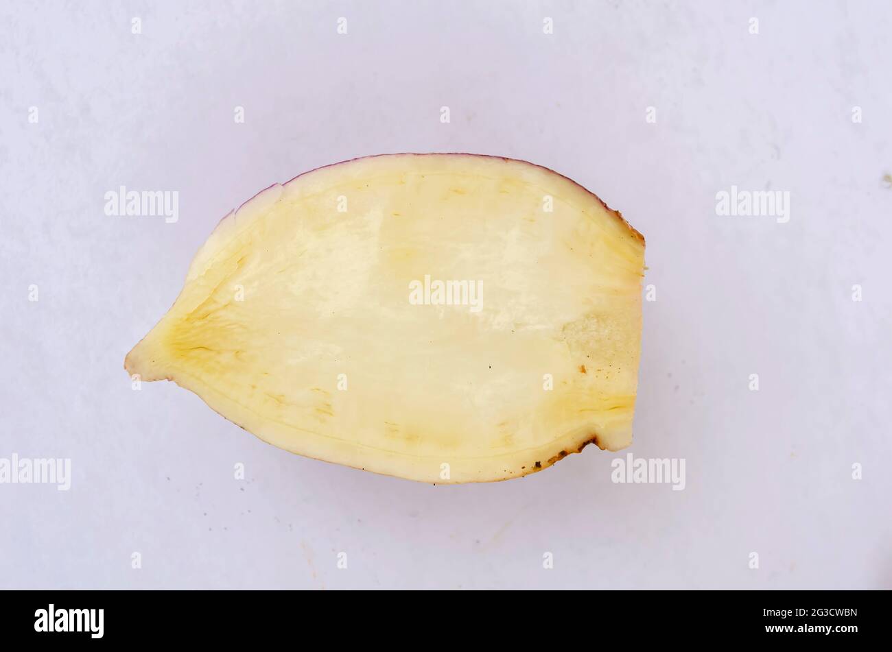 Turnip cross section hi-res stock photography and images - Alamy