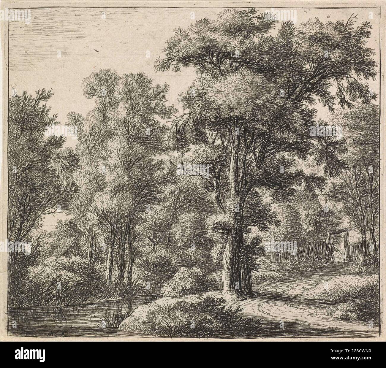 Entrance to the forest; Forest views, Series A. Links flows through a ...