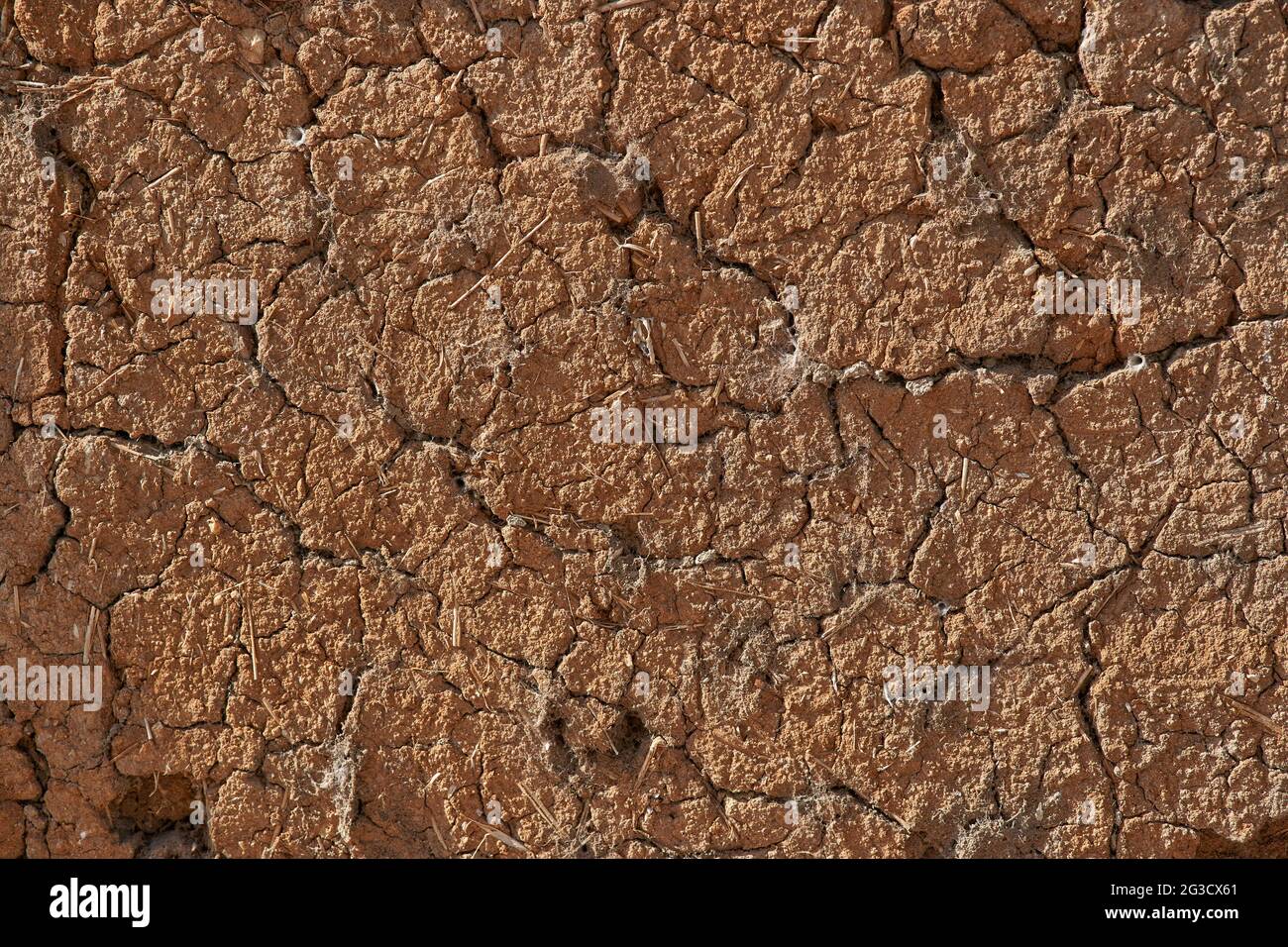 Texture of dry earth, mud Stock Photo - Alamy
