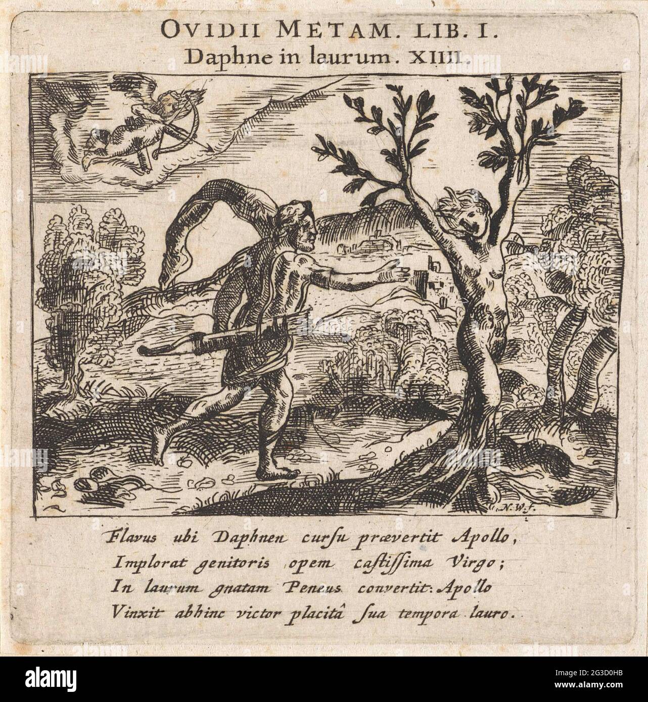 Peneus High Resolution Stock Photography and Images - Alamy