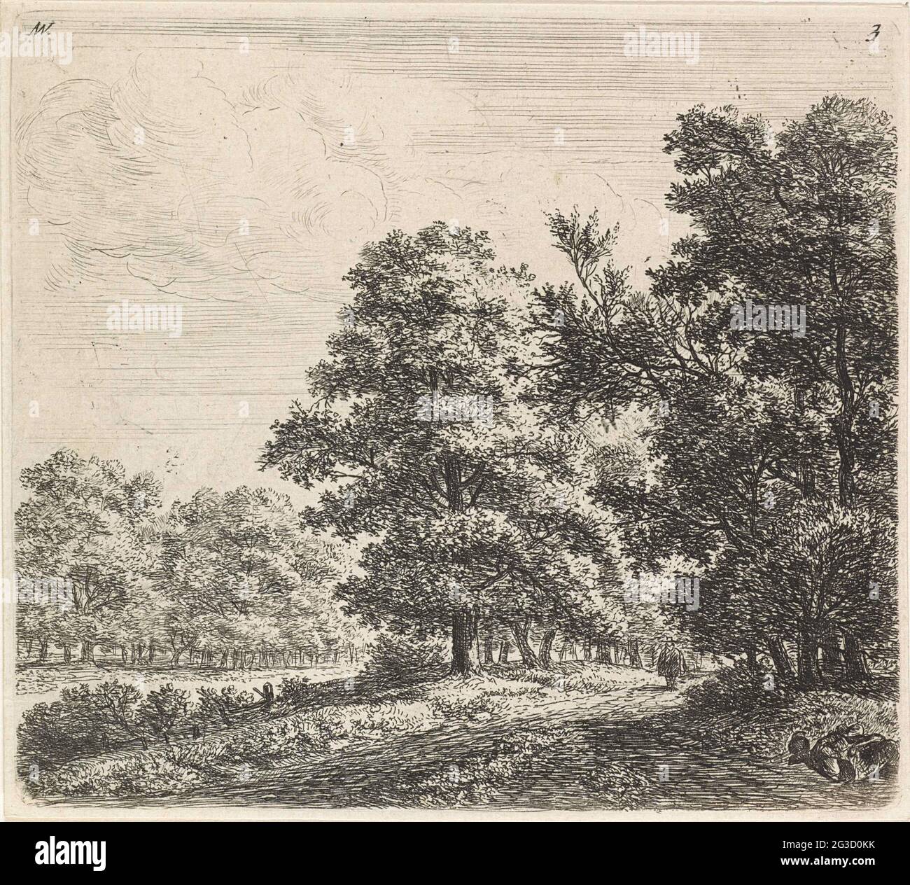 Two forest paths; Forest views, Series B. Two forest paths are shown in ...