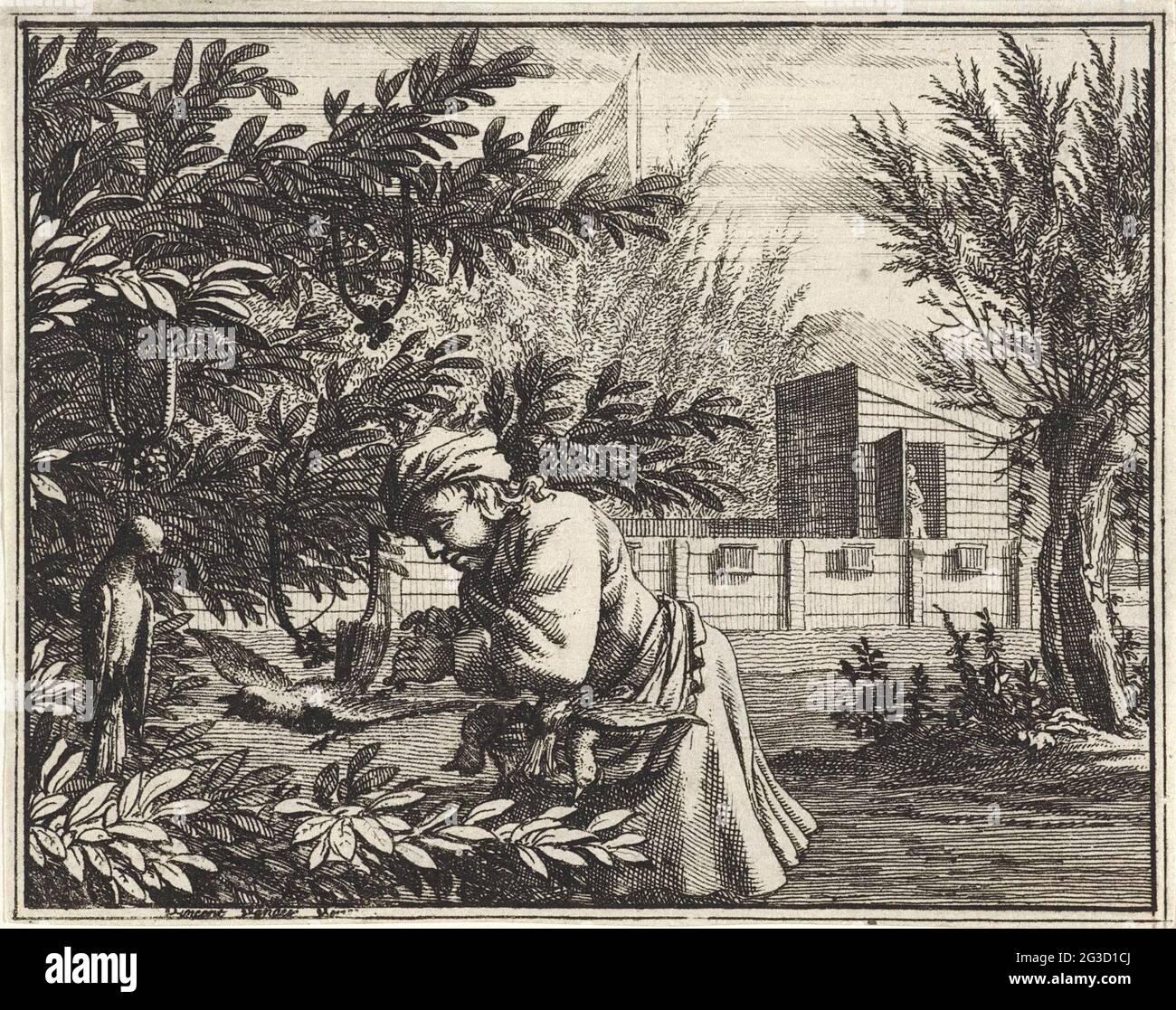 Bird catcher at a bird and bait in a tree. A man brings a bird, which ...