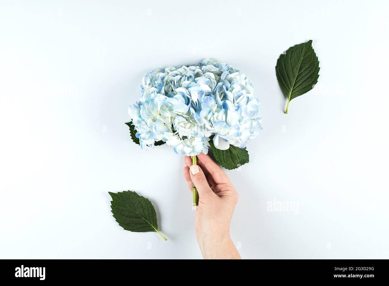 Minimalist flat hi-res stock photography and images - Alamy