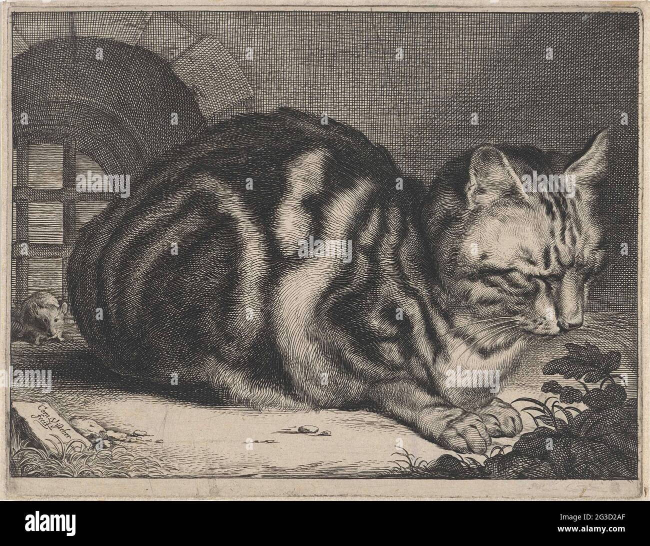 The Large Cat. For a window with bars, a captured cat. Behind the cat ...